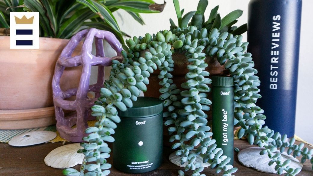 Seed probiotic review: Are these shelf-stable supplements worth it?